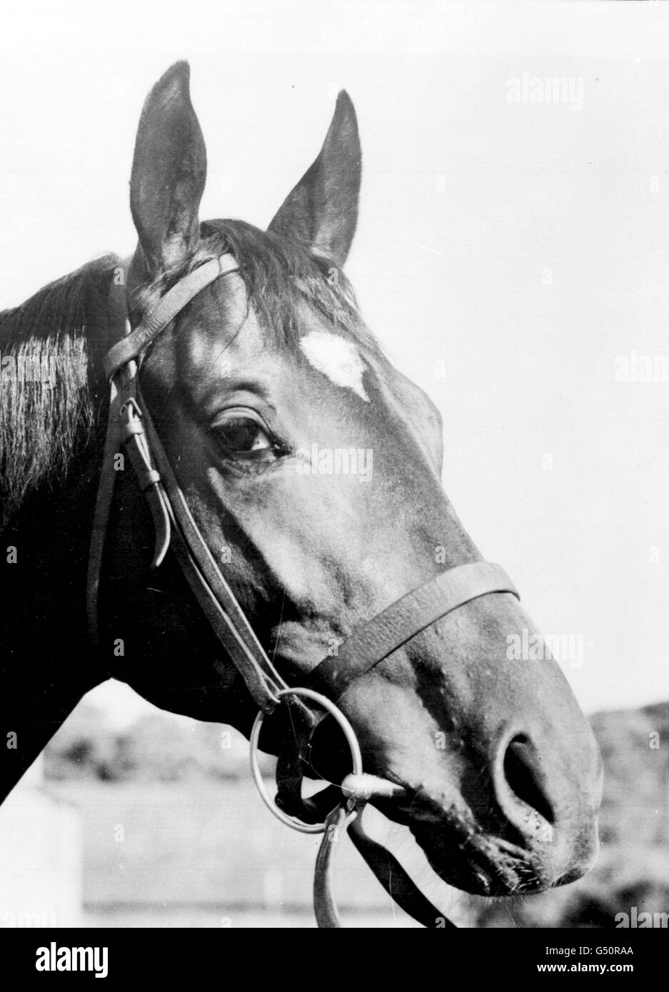 Favourite sport Black and White Stock Photos & Images - Alamy