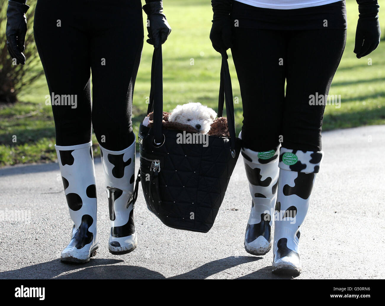 Wiseman Welly Walk Stock Photo - Alamy