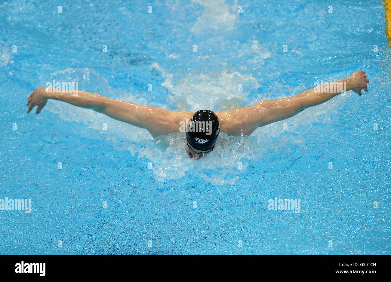 Swimming roebuck hi-res stock photography and images - Alamy