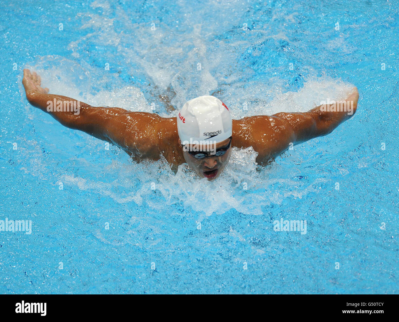 Butterfly wu hi-res stock photography and images - Alamy