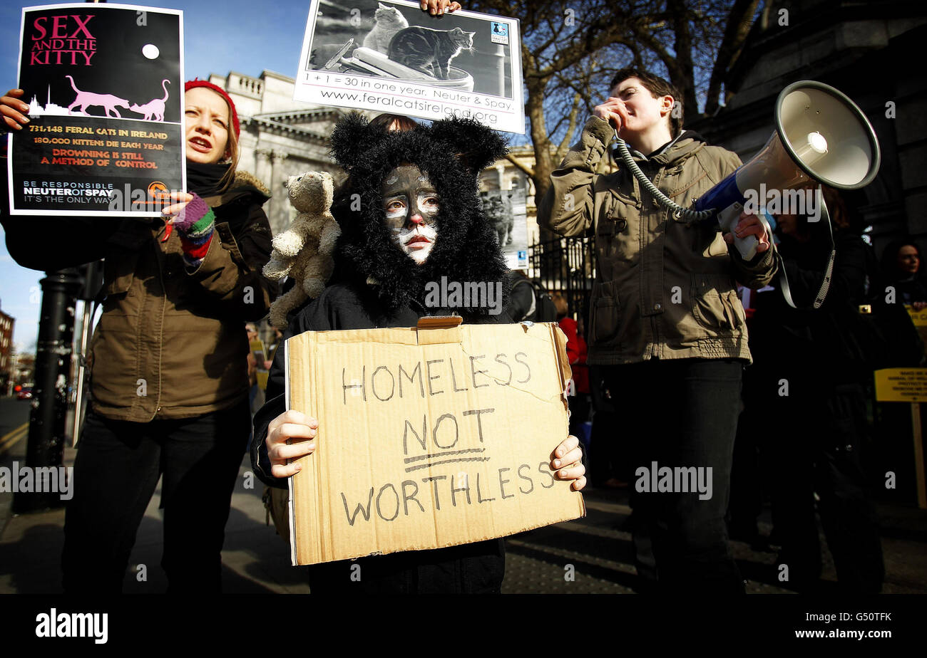 Drowned cat hi-res stock photography and images - Alamy