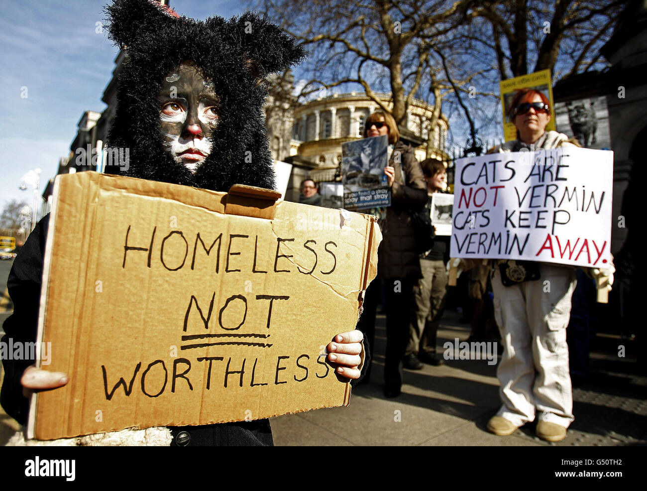 Drowned cat hi-res stock photography and images - Alamy