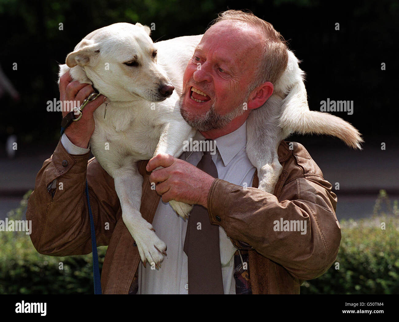 Animal cruelty Martin Stock Photo - Alamy