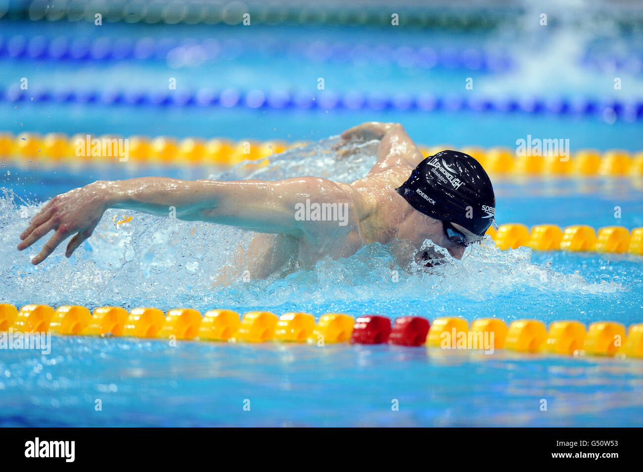 Swimming roebuck hi-res stock photography and images - Alamy
