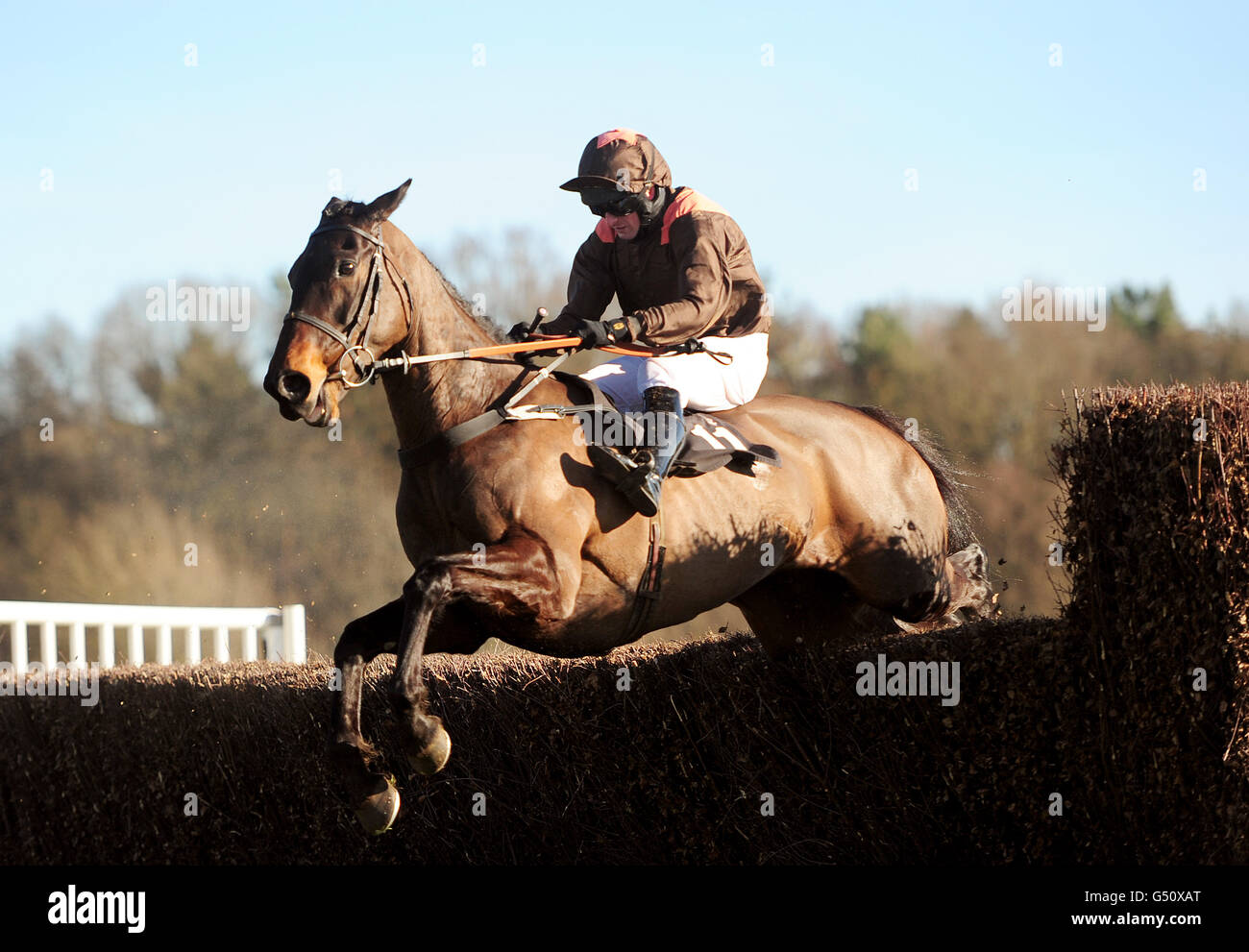 Horse Racing - Afternoon National Hunt Racing - Lingfield Park. Arctic ...