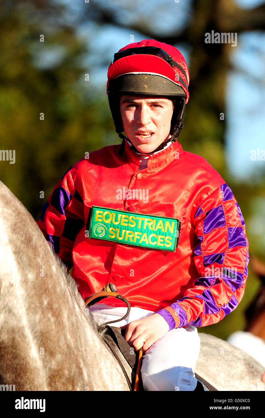 Horse Racing - Afternoon National Hunt Racing - Lingfield Park. Gavin ...