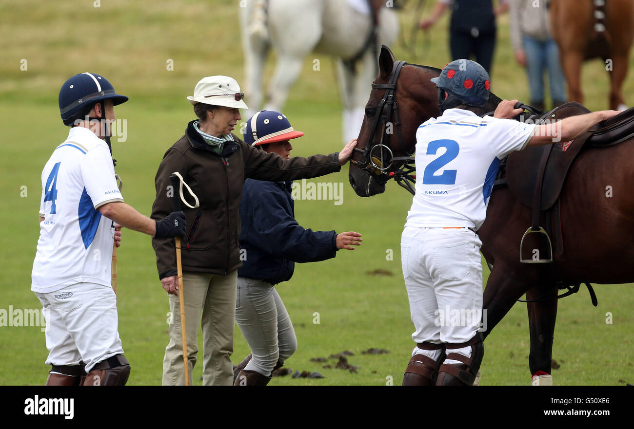 The Princess Royal (second left) at a charity polo match at Beaufort ...