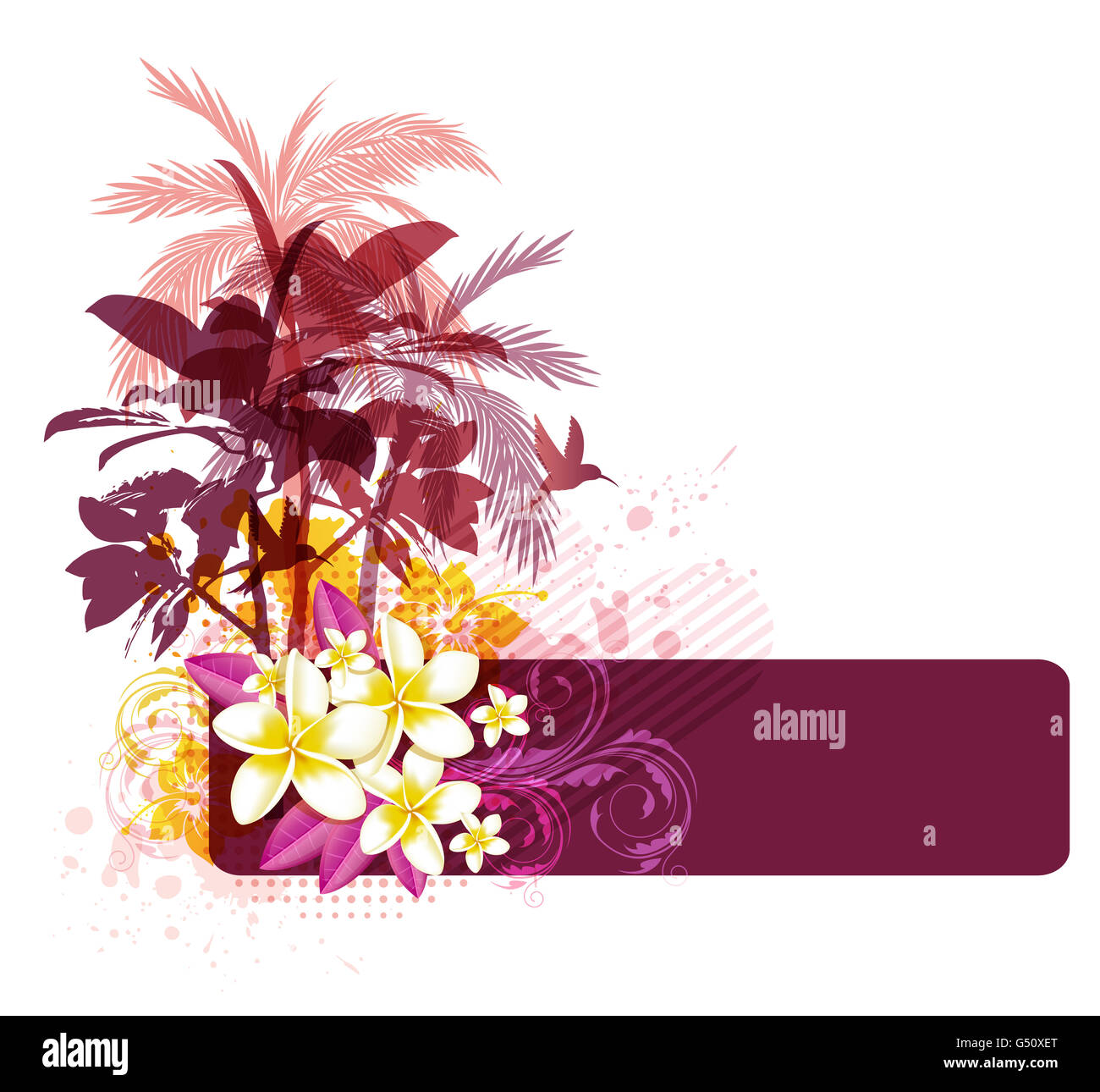 Tropical birds wildlife Cut Out Stock Images & Pictures - Alamy