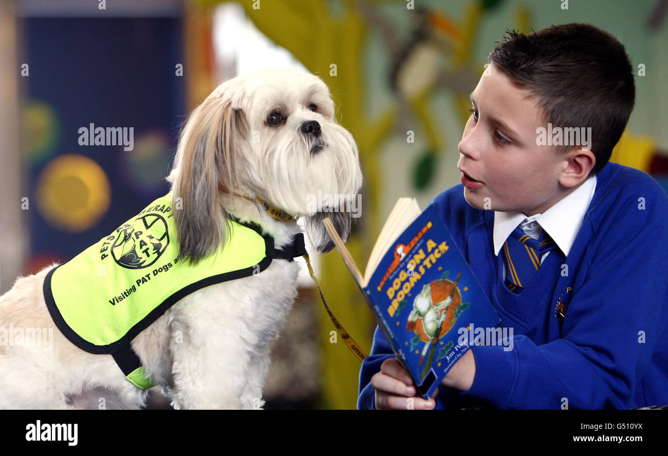 Pets as therapy hi-res stock photography and images - Alamy