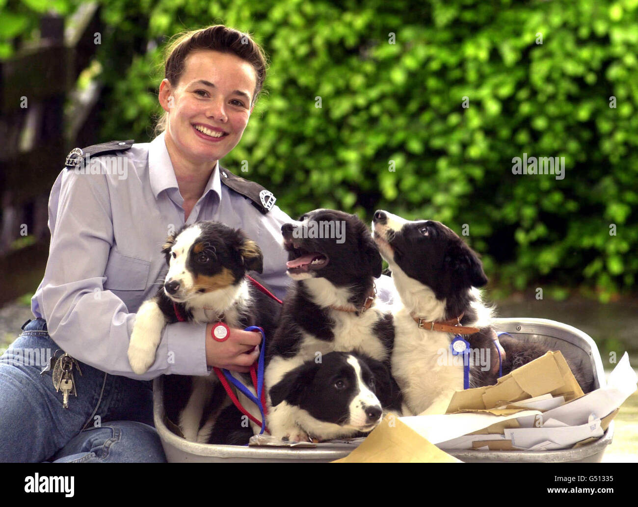 Castaway puppies animal welfare Stock Photo - Alamy