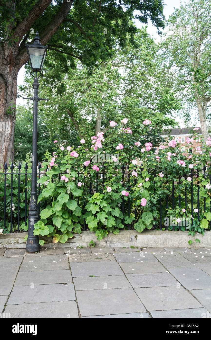 London grays inn square hi-res stock photography and images - Alamy