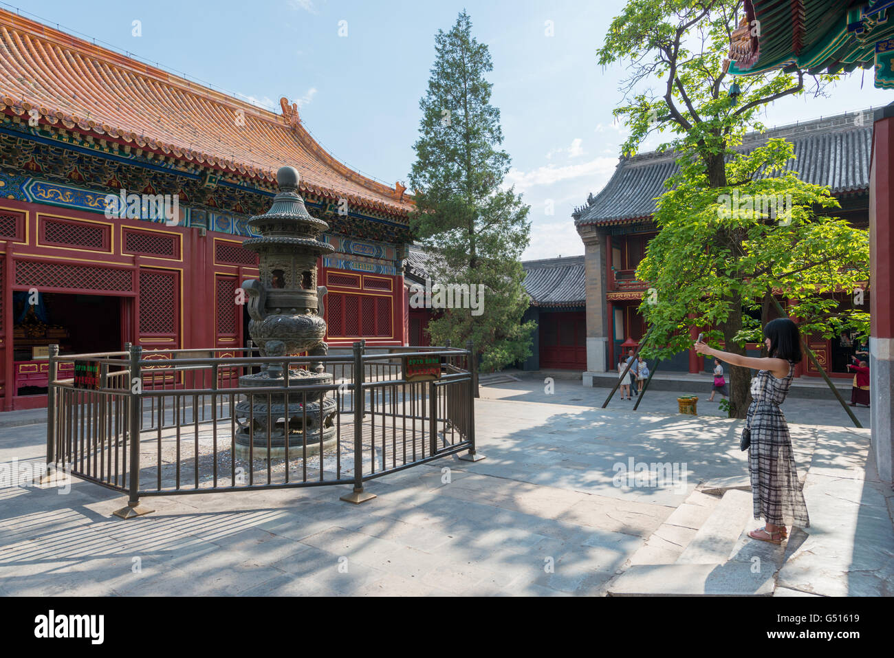 Lama selfie hi-res stock photography and images - Alamy