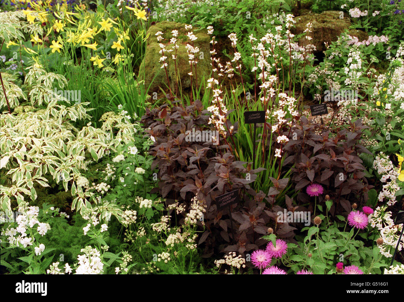 Chelsea Garden Award Winners High Resolution Stock Photography and ...