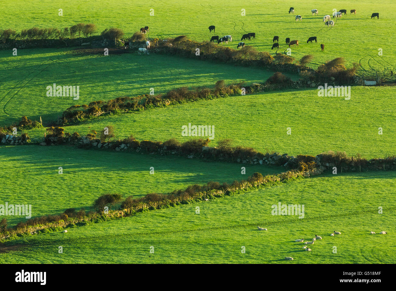 Field pattern hi-res stock photography and images - Alamy
