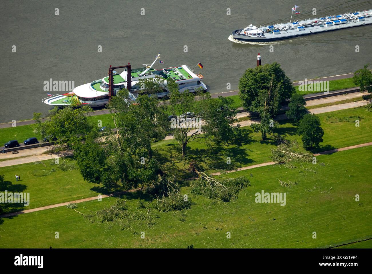 Aerial view, storm damage uprooted trees between Oberkassel bridge and ...