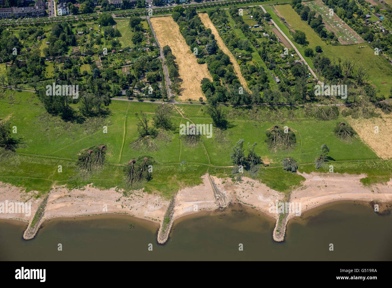 Aerial view, storm damage uprooted trees between Oberkassel bridge and ...