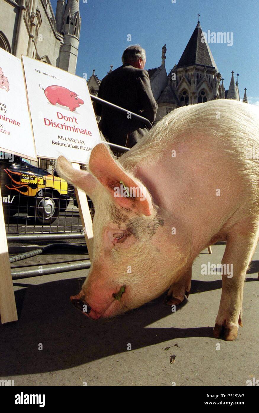 Pig farmers protest London Stock Photo - Alamy