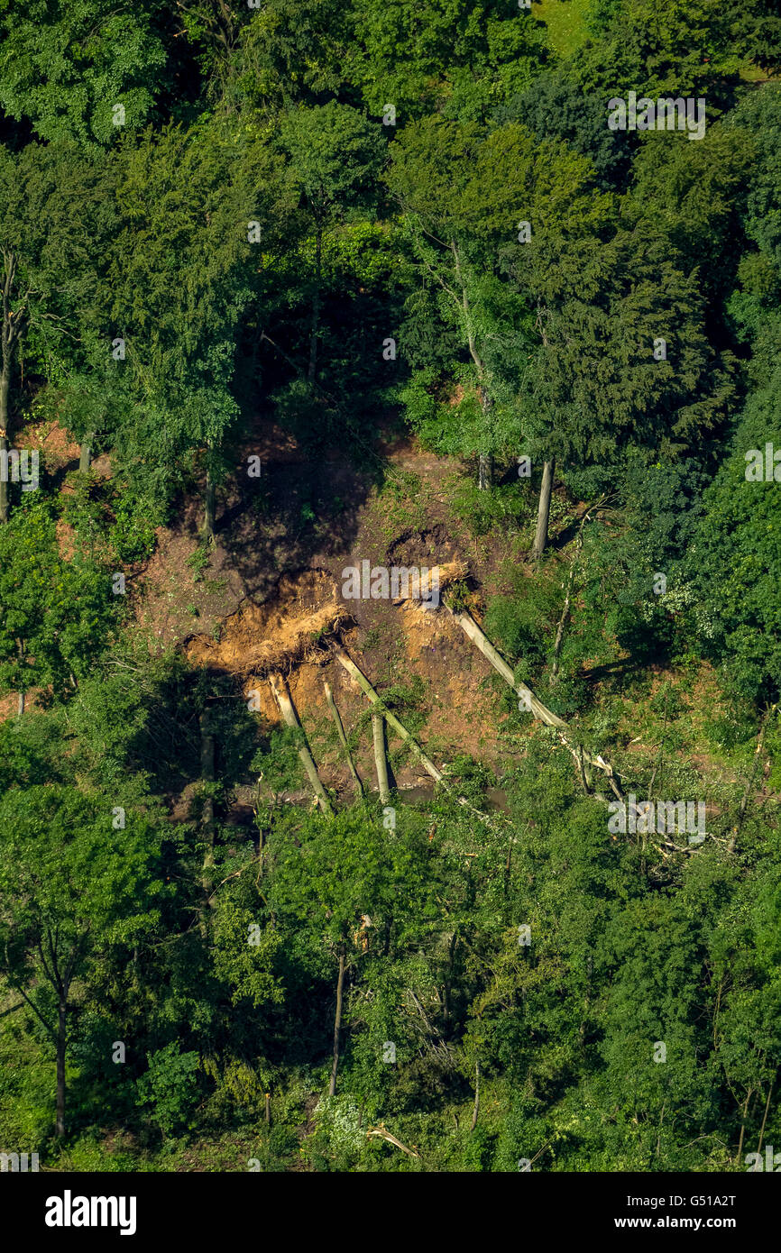 Fulerum hi-res stock photography and images - Alamy