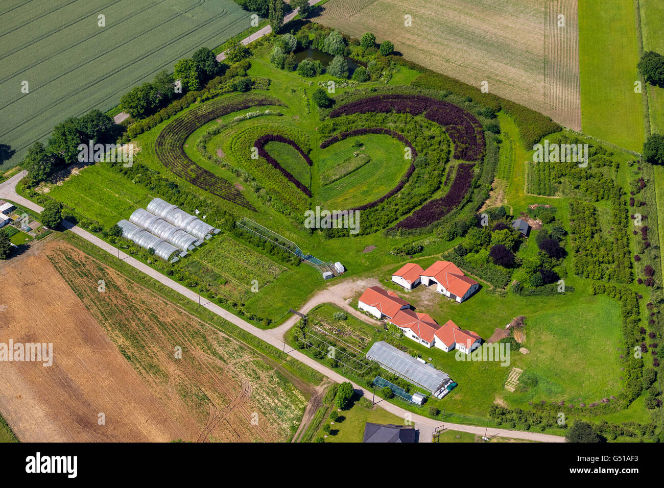 Aerial view, Heart, horticultural company in Waltrop, tree and bush ...
