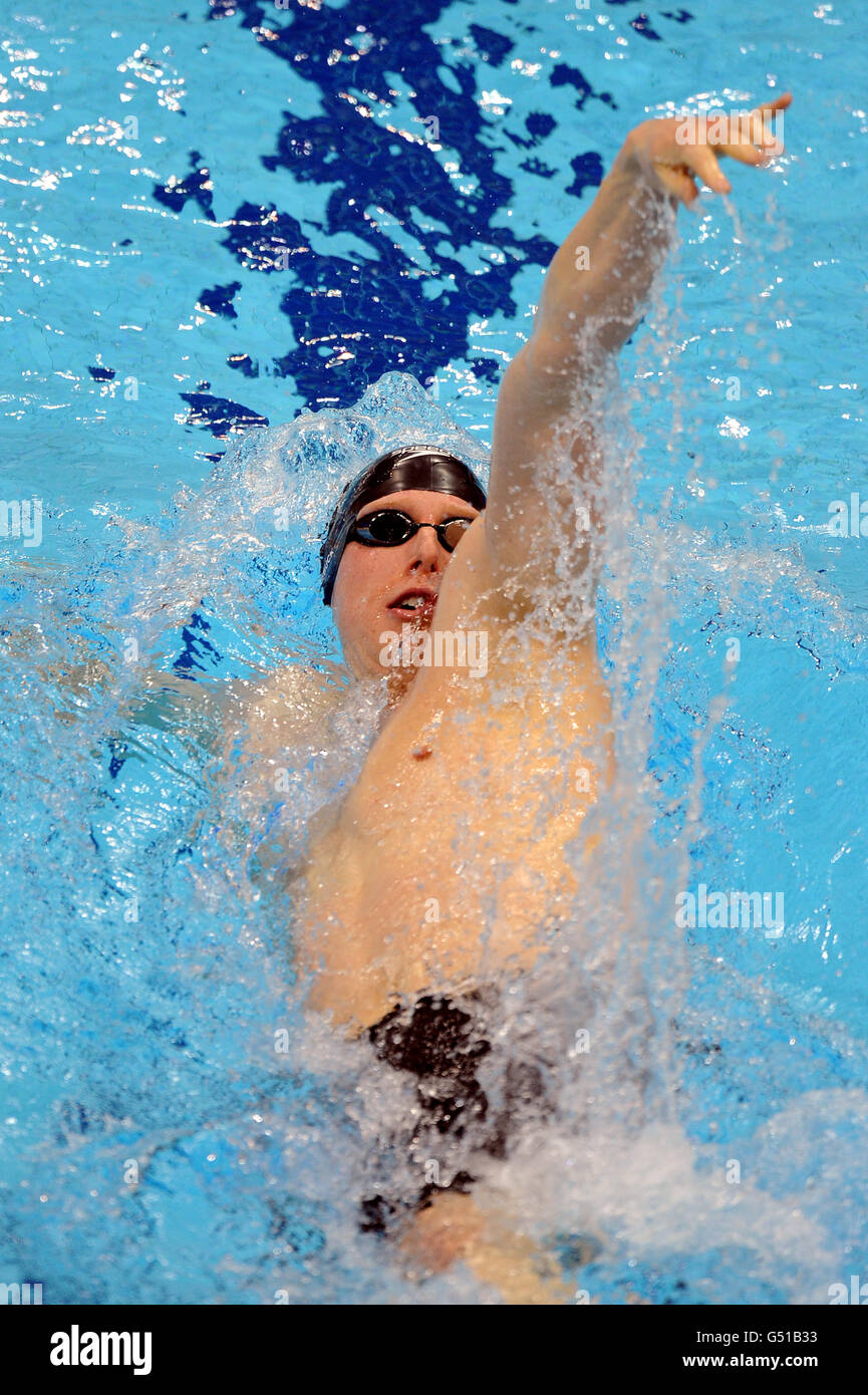 Swimming roebuck hi-res stock photography and images - Alamy