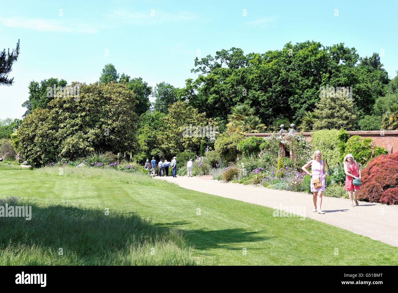 Rhs gardens wisley surrey uk hi-res stock photography and images - Alamy