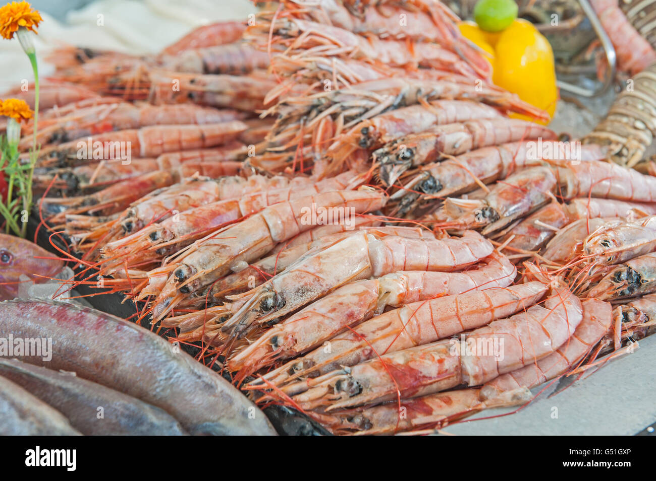 Collection of fresh shrimp on display at fish restaurant buffet Stock ...
