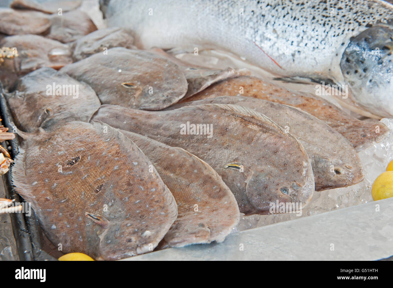 Collection of fresh plaice seafood on display at a fish restaurant ...