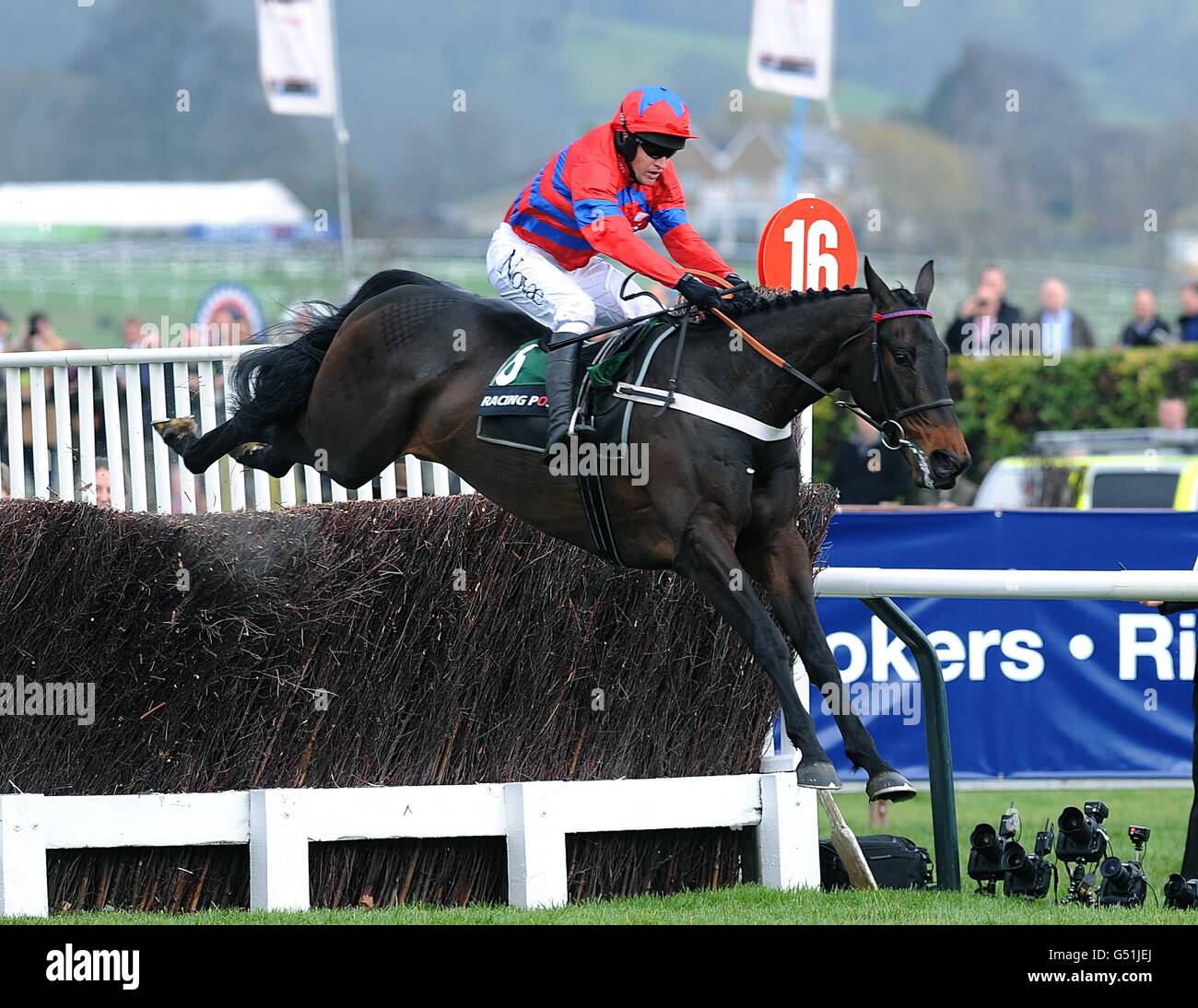Sprinter sacre cheltenham 2012 hi-res stock photography and images - Alamy