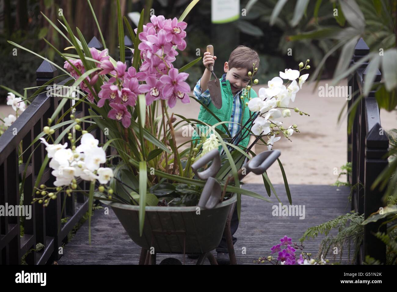 Dominic Hennessy-Gibbs, five, from Surrey helps with a wheelbarrow of ...