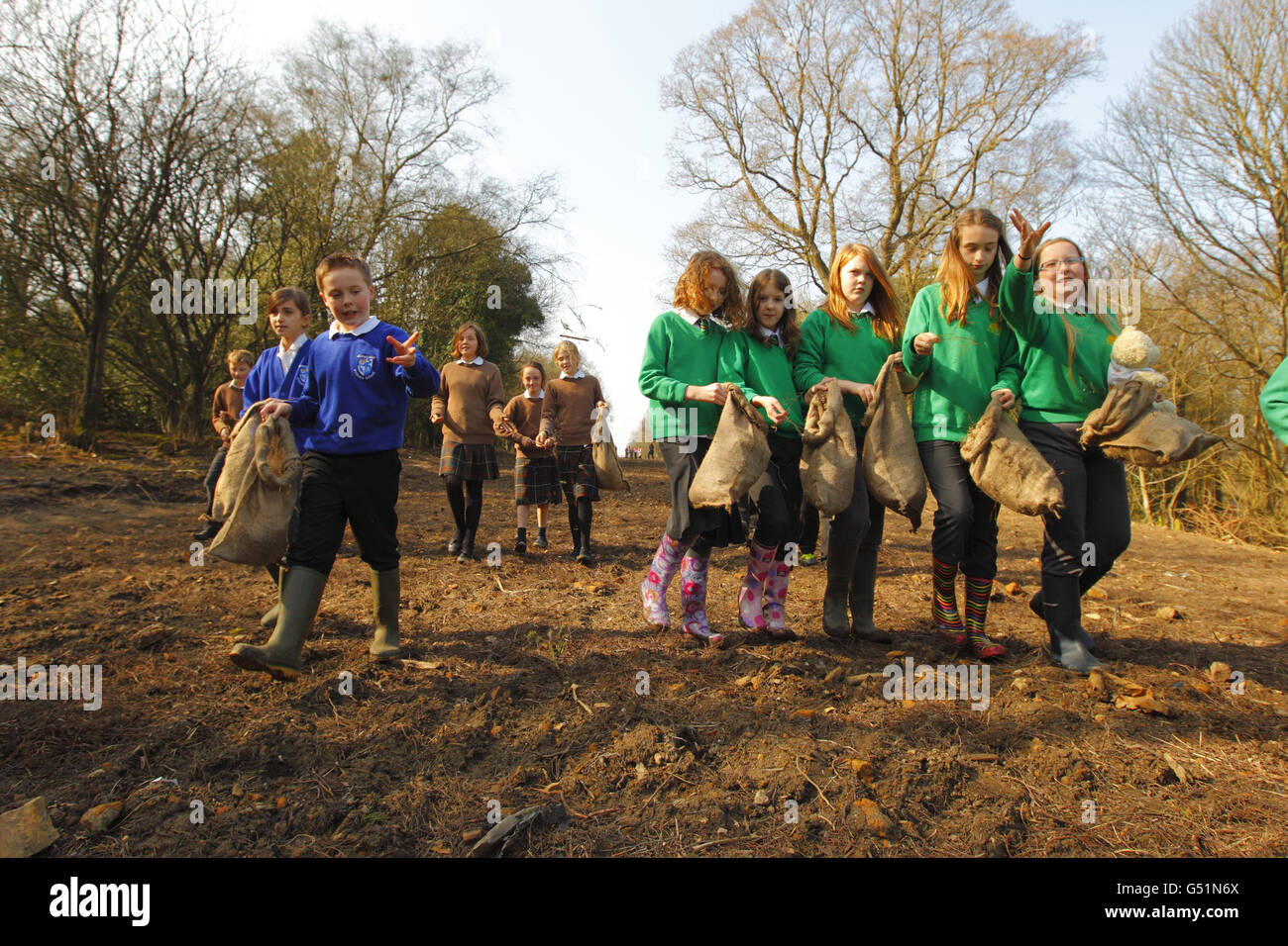 Children from local schools spread heather seed along the path of the ...