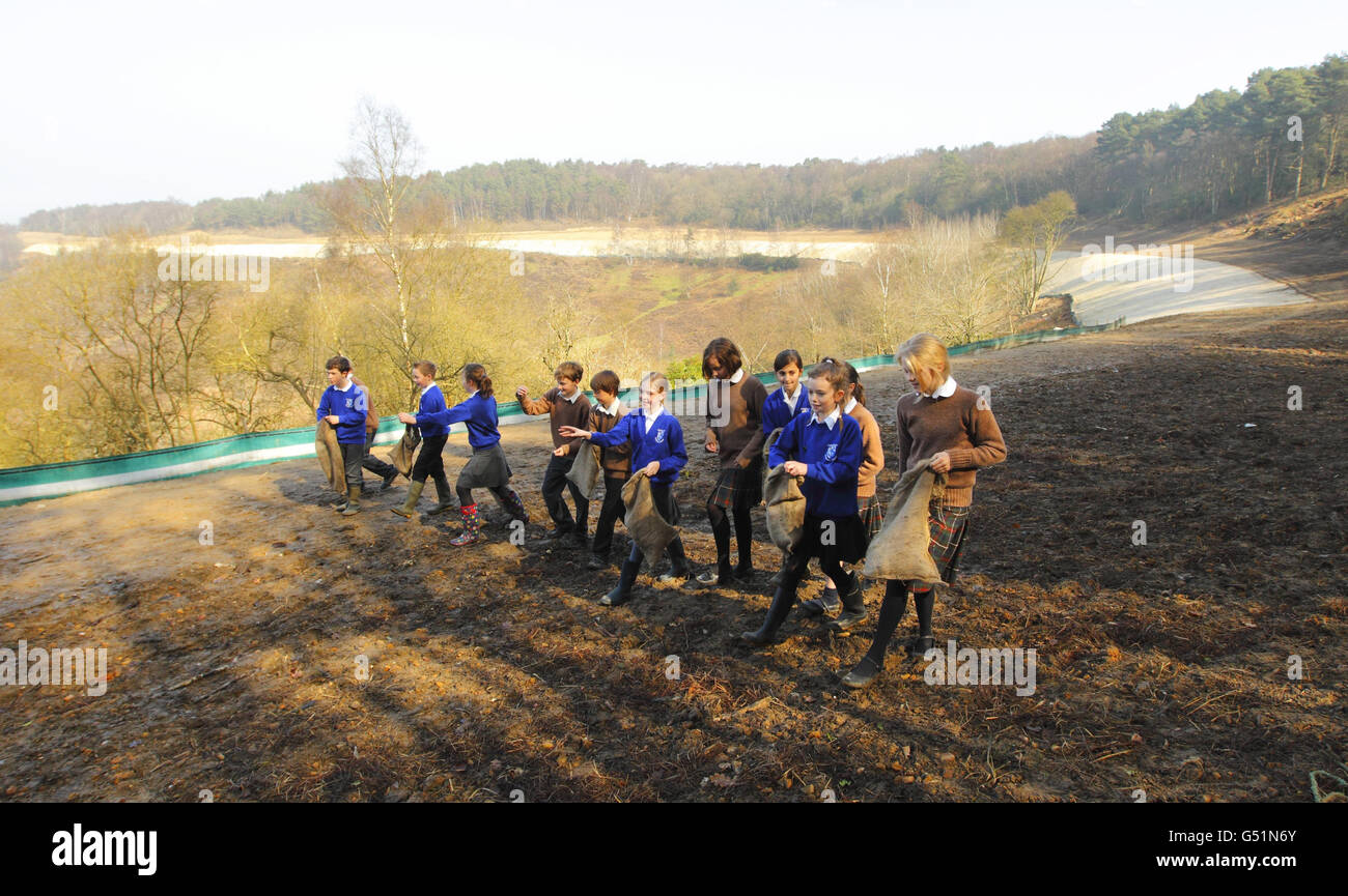 Children from local schools spread heather seed along the path of the ...