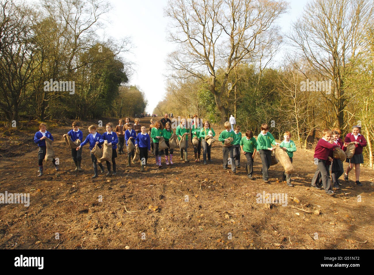 Children from local schools spread heather seed along the path of the ...