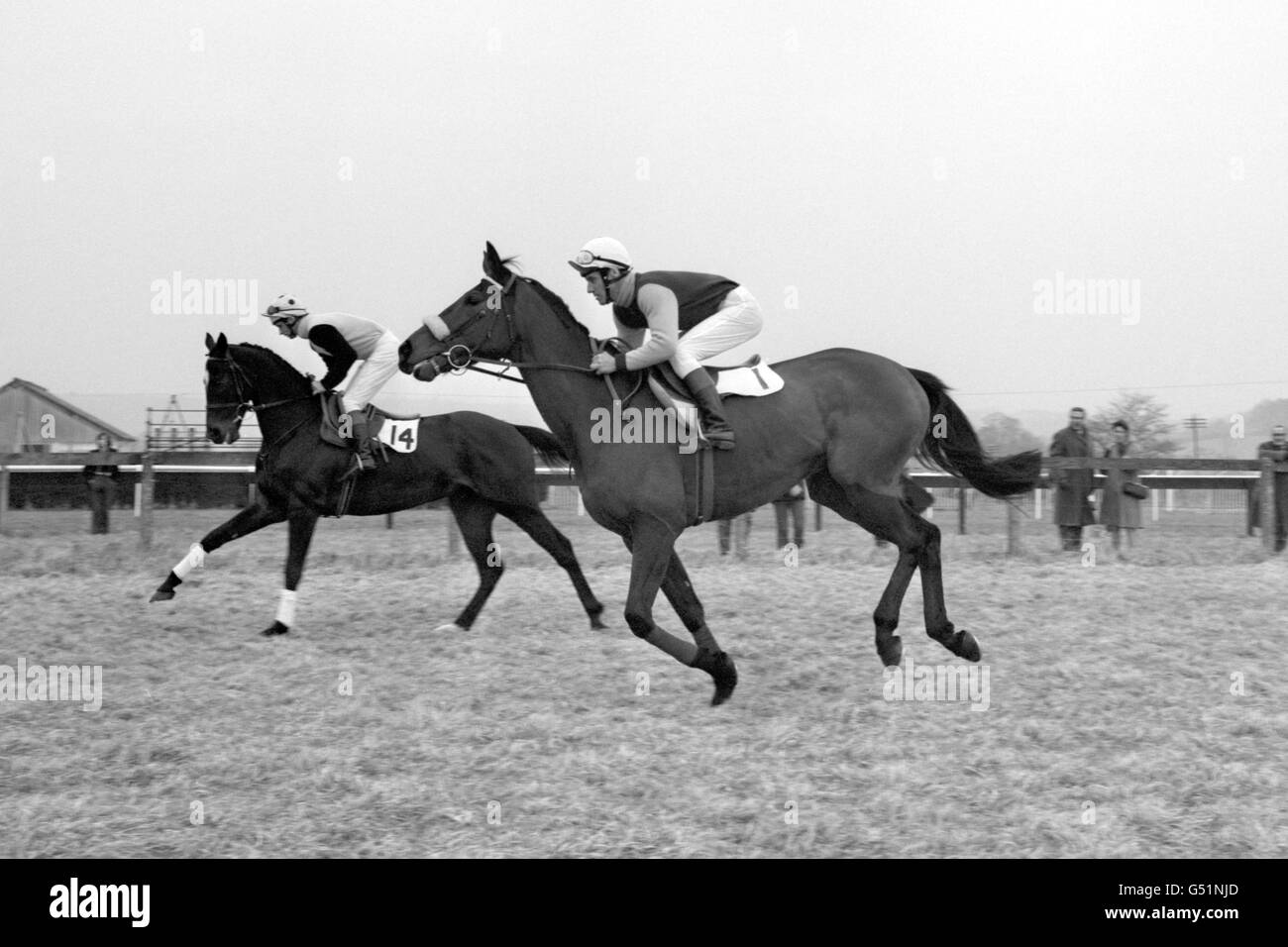 Persian war horse hi-res stock photography and images - Alamy