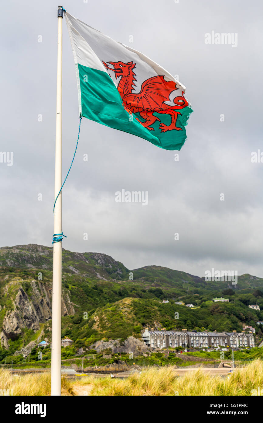 Welsh dragon icon hi-res stock photography and images - Alamy