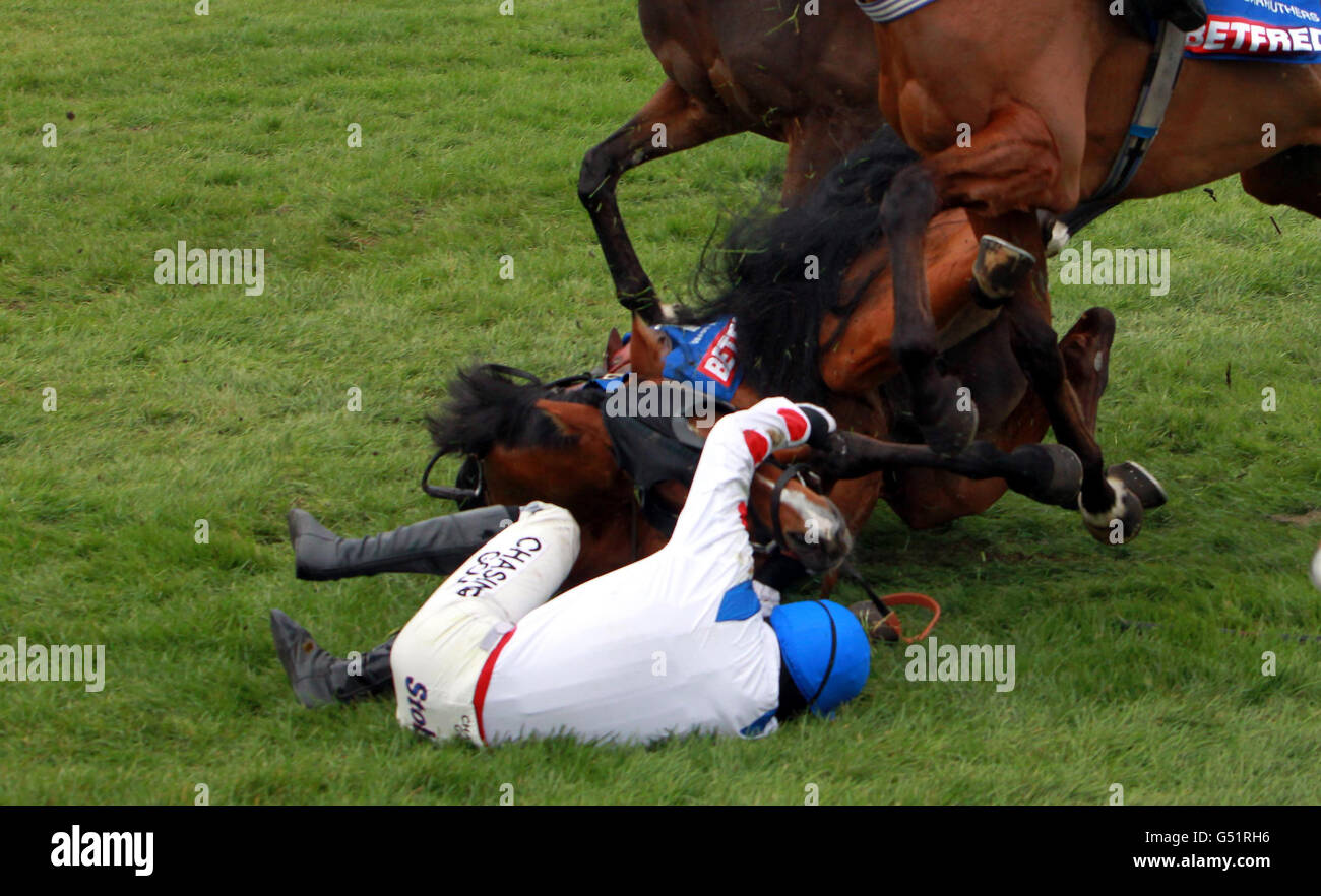 Steeplechase fall hi-res stock photography and images - Alamy