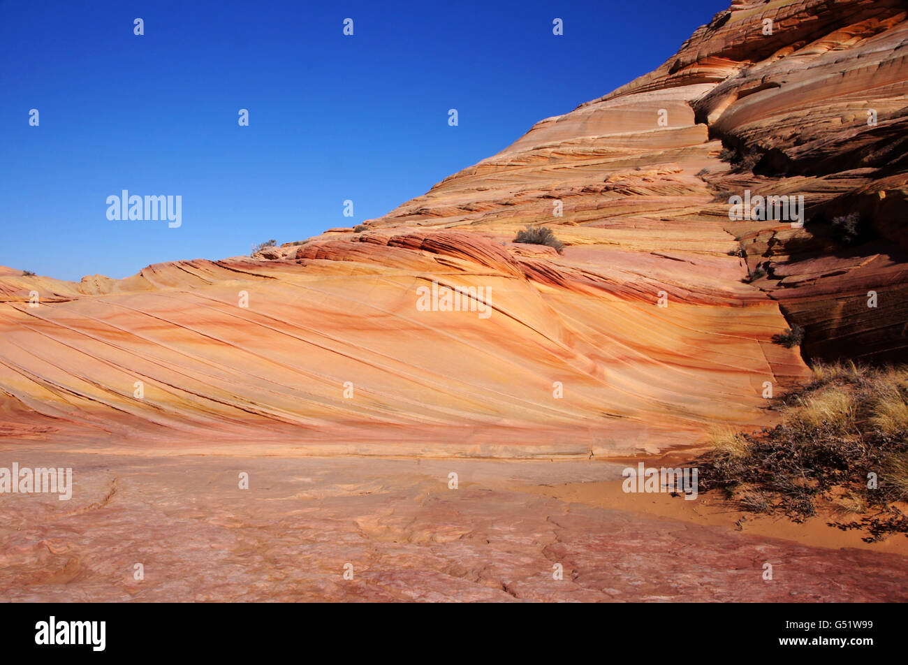 The Wave in the Vermilion Cliffs National Monument, a National Park ...