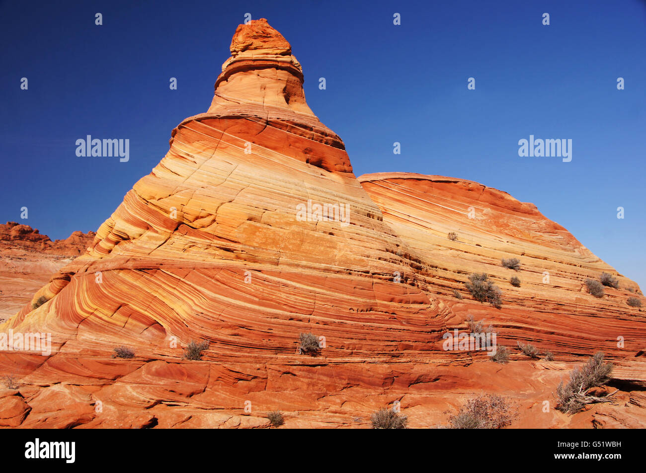 The Wave in the Vermilion Cliffs National Monument, a National Park ...