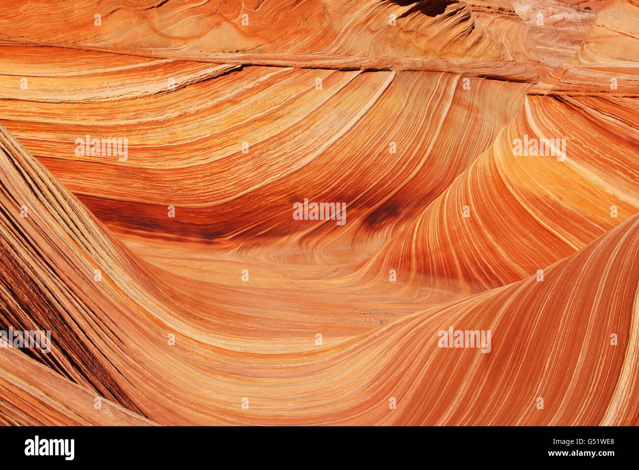 The Wave in the Vermilion Cliffs National Monument, a National Park ...