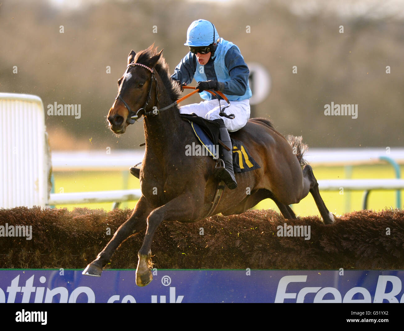 Horse Racing - Southwell Races. Tiradia ridden by jockey Tom Messenger ...