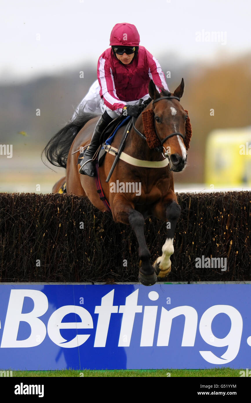 Full length horse racing signage branding brand sign hi-res stock ...