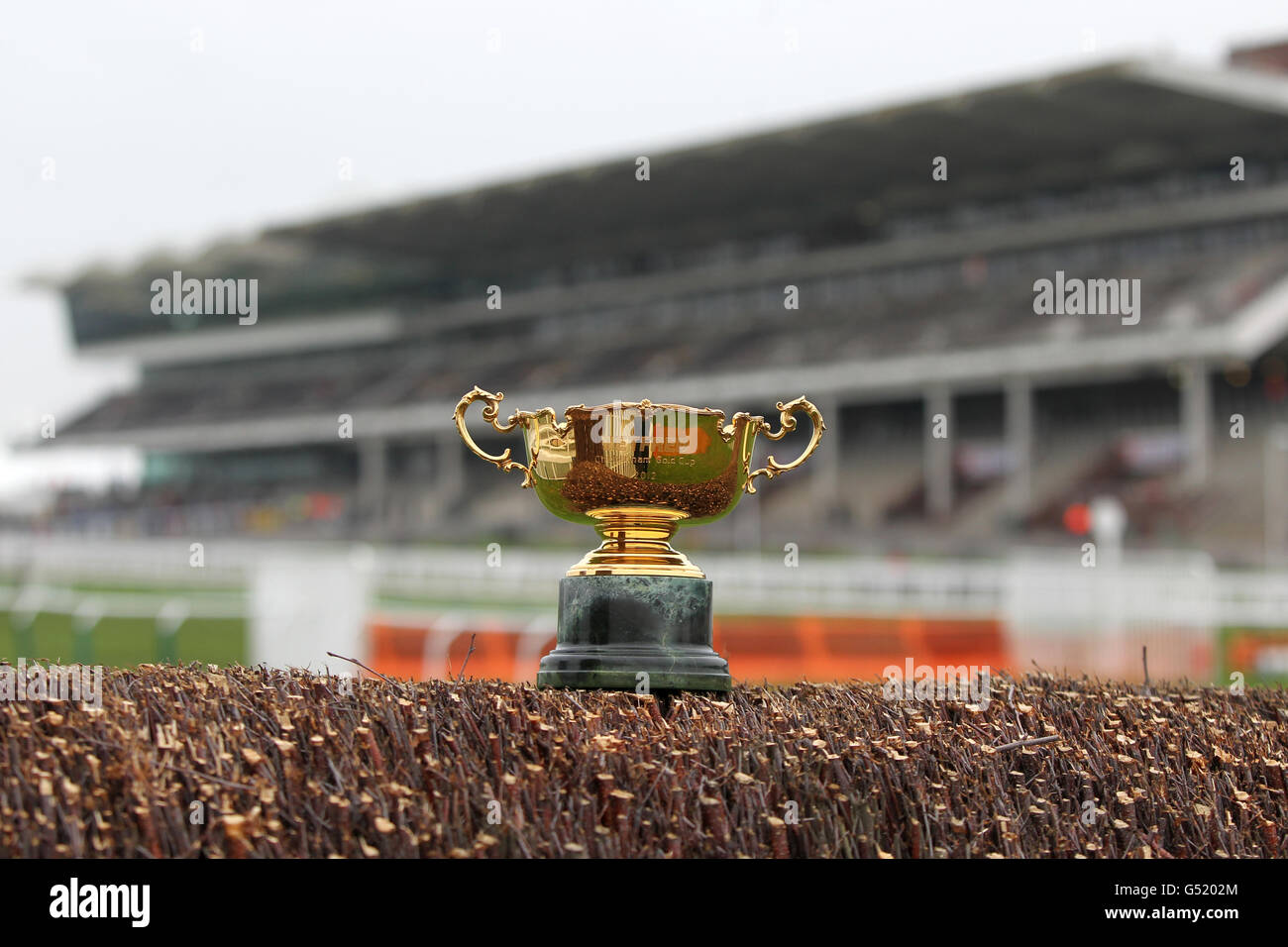 Cheltenham gold cup trophy hi-res stock photography and images - Alamy