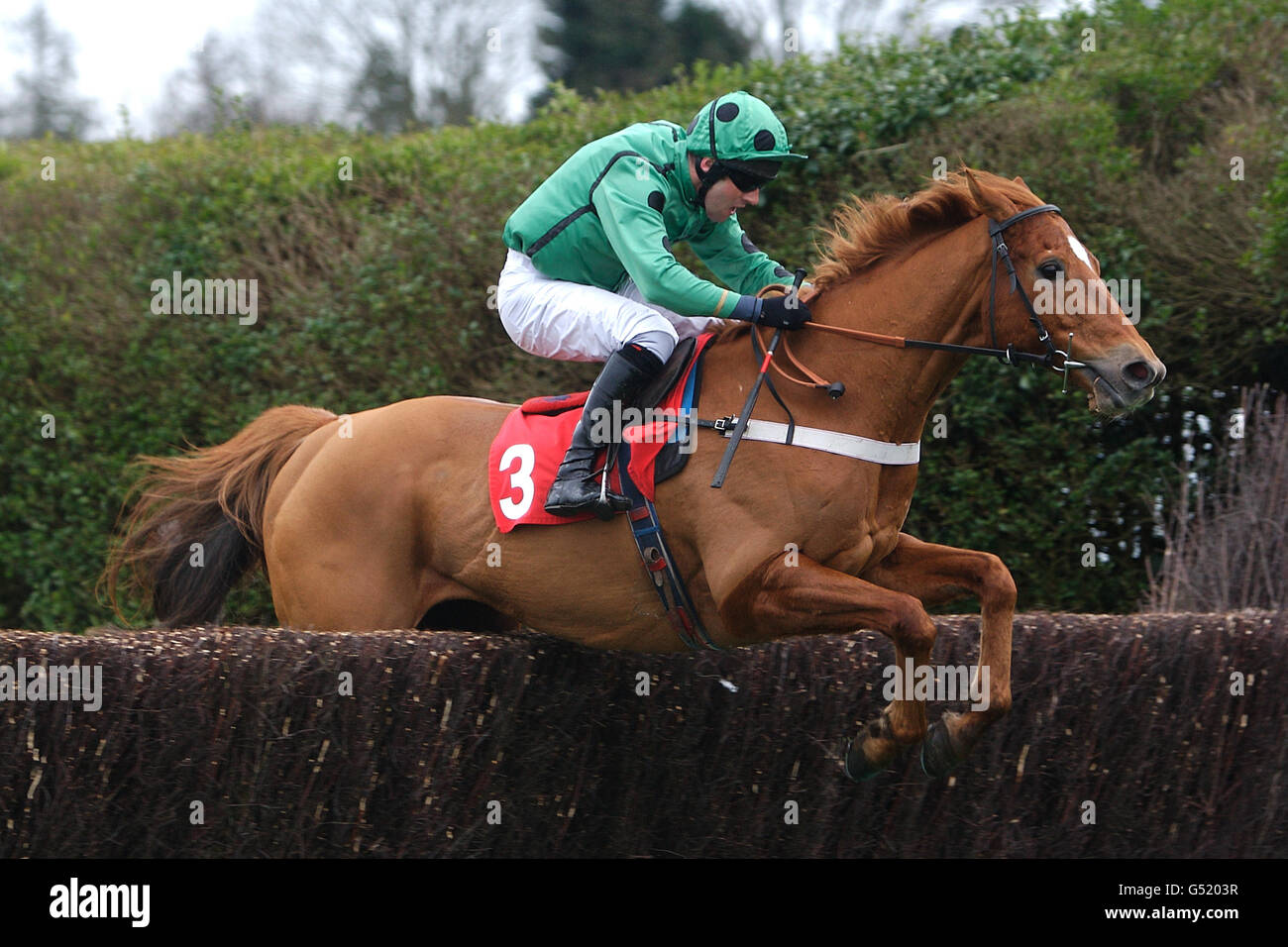 Novikov ridden by jockey Lee Stephens in action during the Charles ...