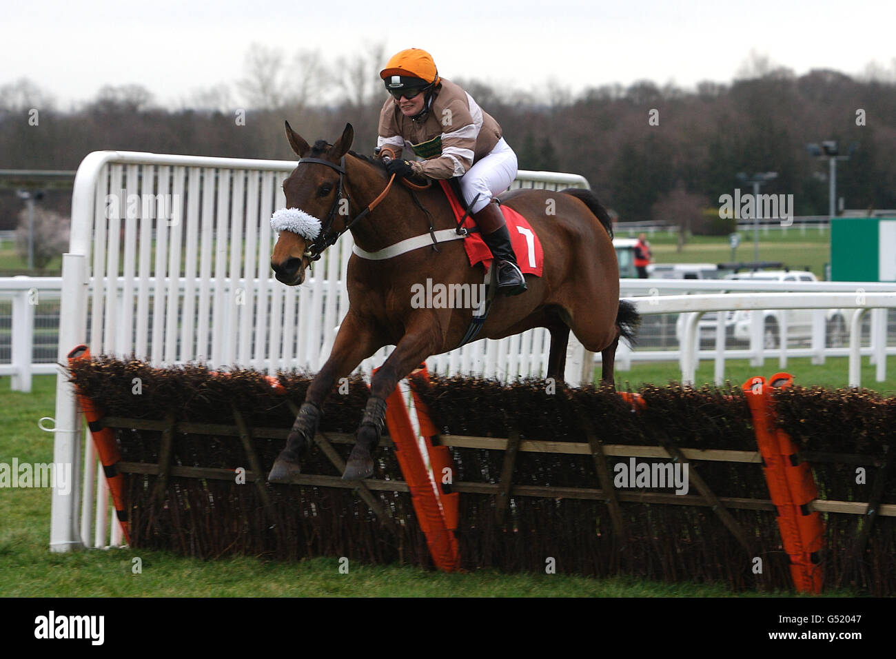 Racing homer hi-res stock photography and images - Alamy