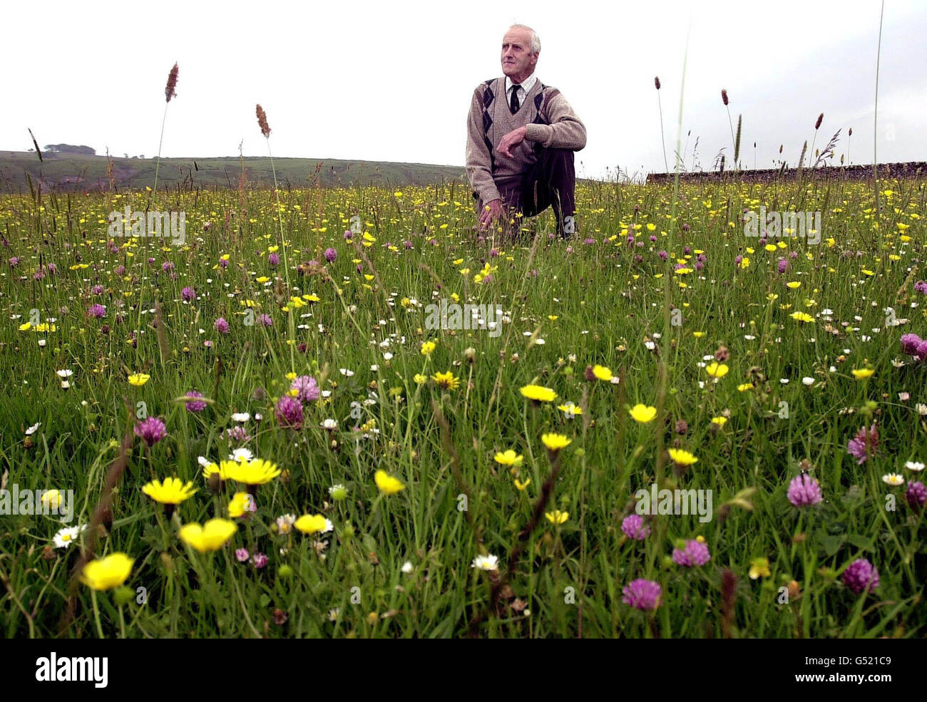 English Nature Reserve farm Stock Photo - Alamy