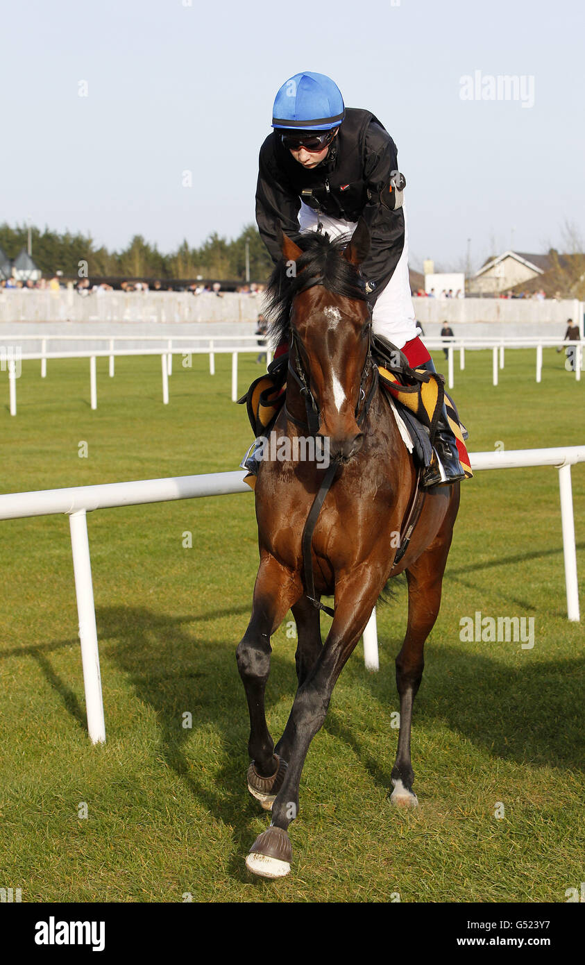 Horse racing the curragh racecourse hi-res stock photography and images ...