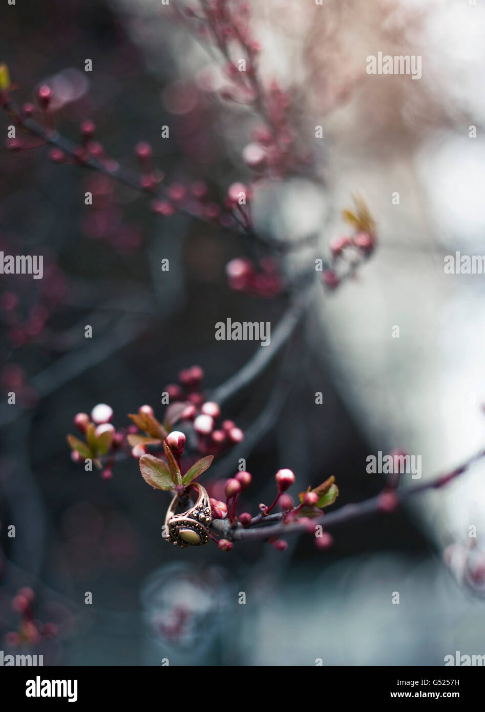 Hanging ring hi-res stock photography and images - Alamy