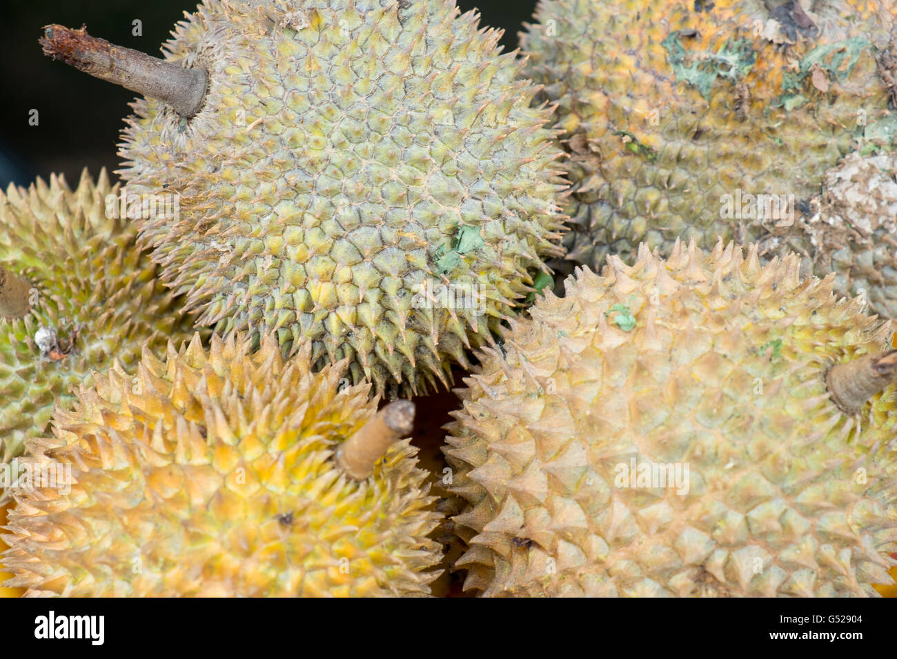 Durian vendor in bangkok hi-res stock photography and images - Alamy