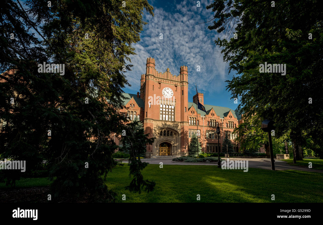 University Admin building in the morning with pine trees Stock Photo ...