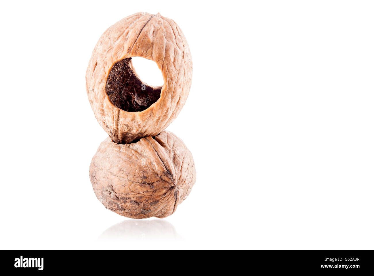 couple of eaten walnuts by a squirrel Stock Photo - Alamy