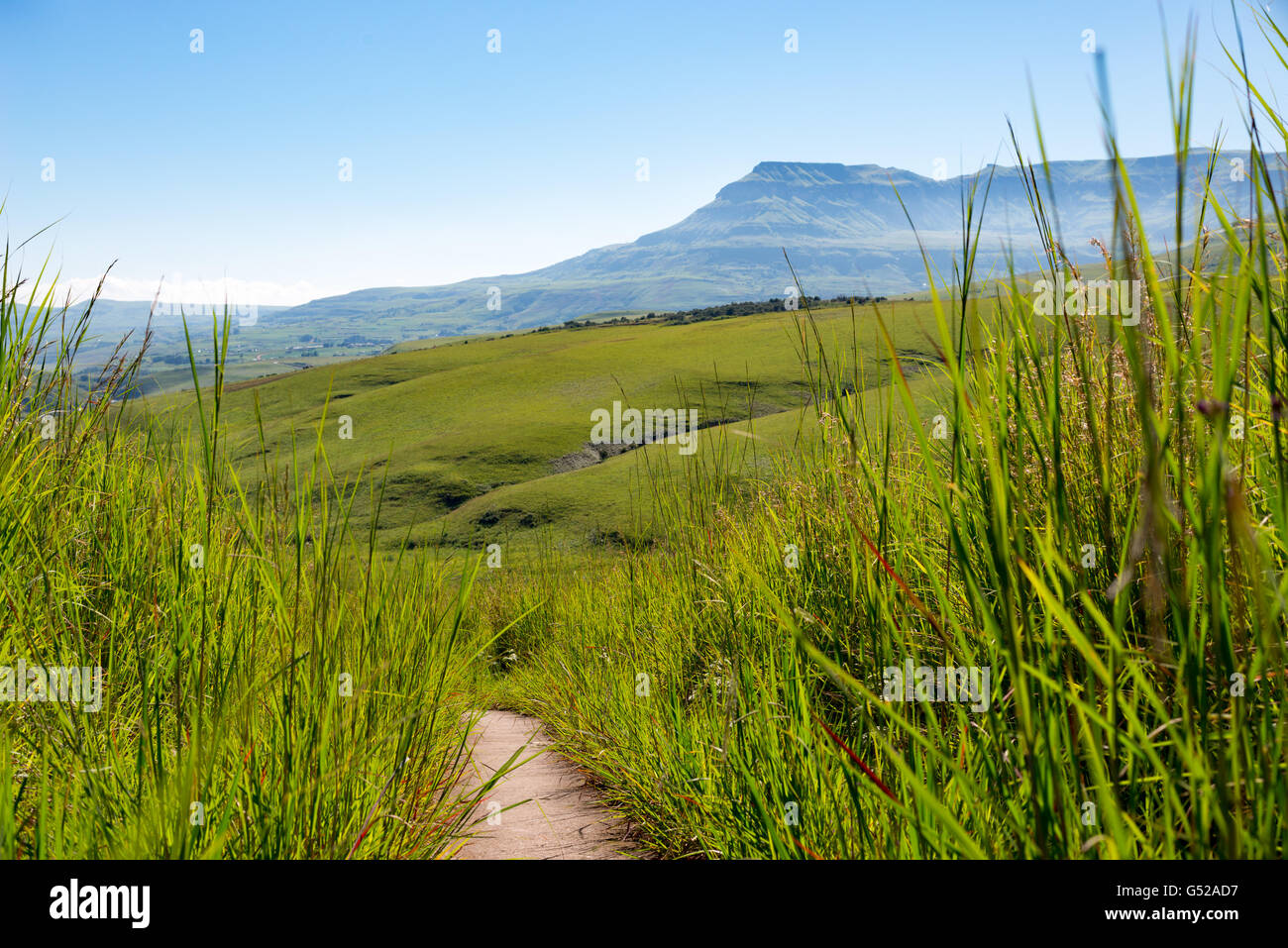South Africa, KwaZulu-Natal, Giants Castle Game Reserve, Hiking at ...